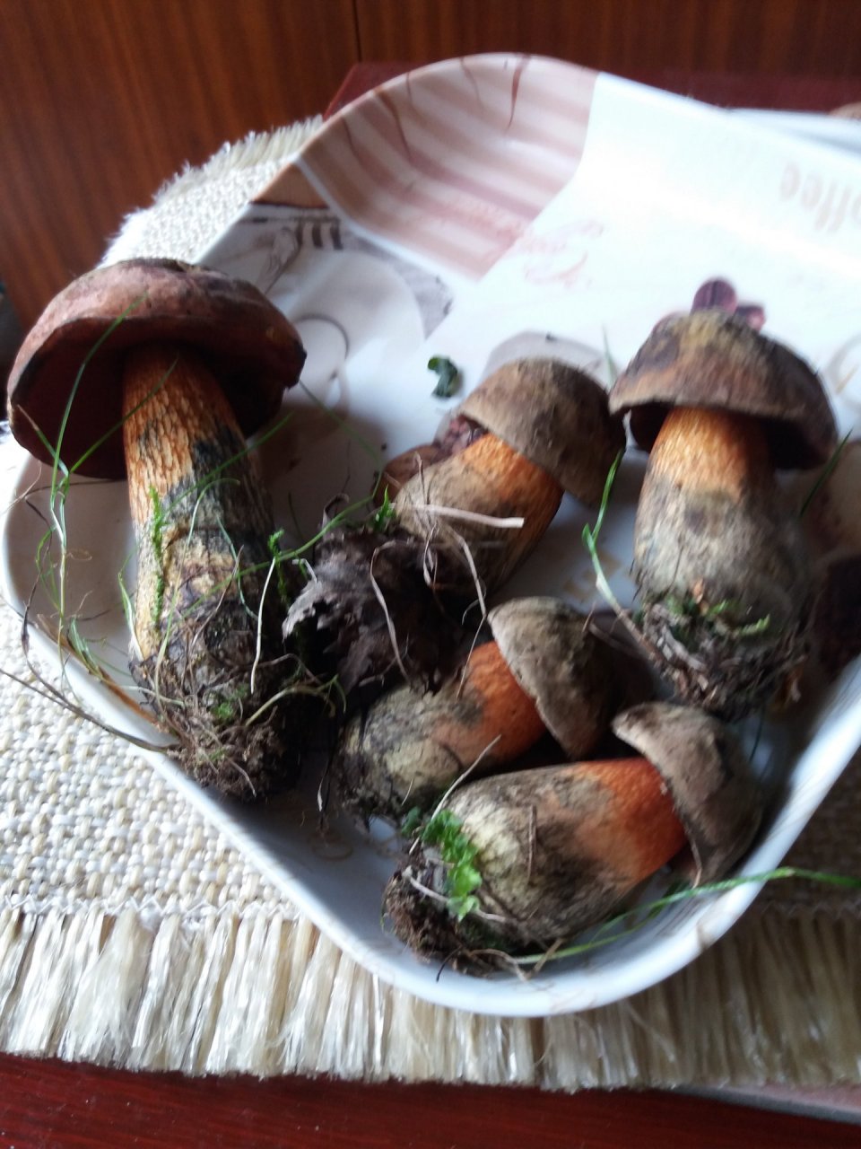 Kde rostou a kam na houby v Praze a okolí? | NaHouby.cz